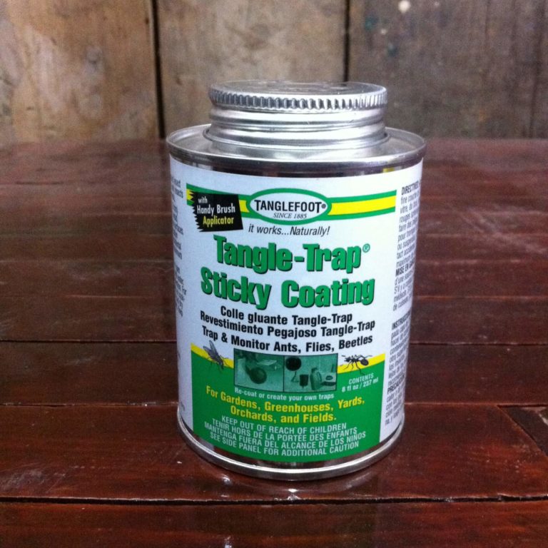 Pest Control – Tanglefoot Tangle-Trap Sticky Coatings 8oz – Urban Seedling