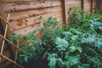 Garden closing – Urban Seedling