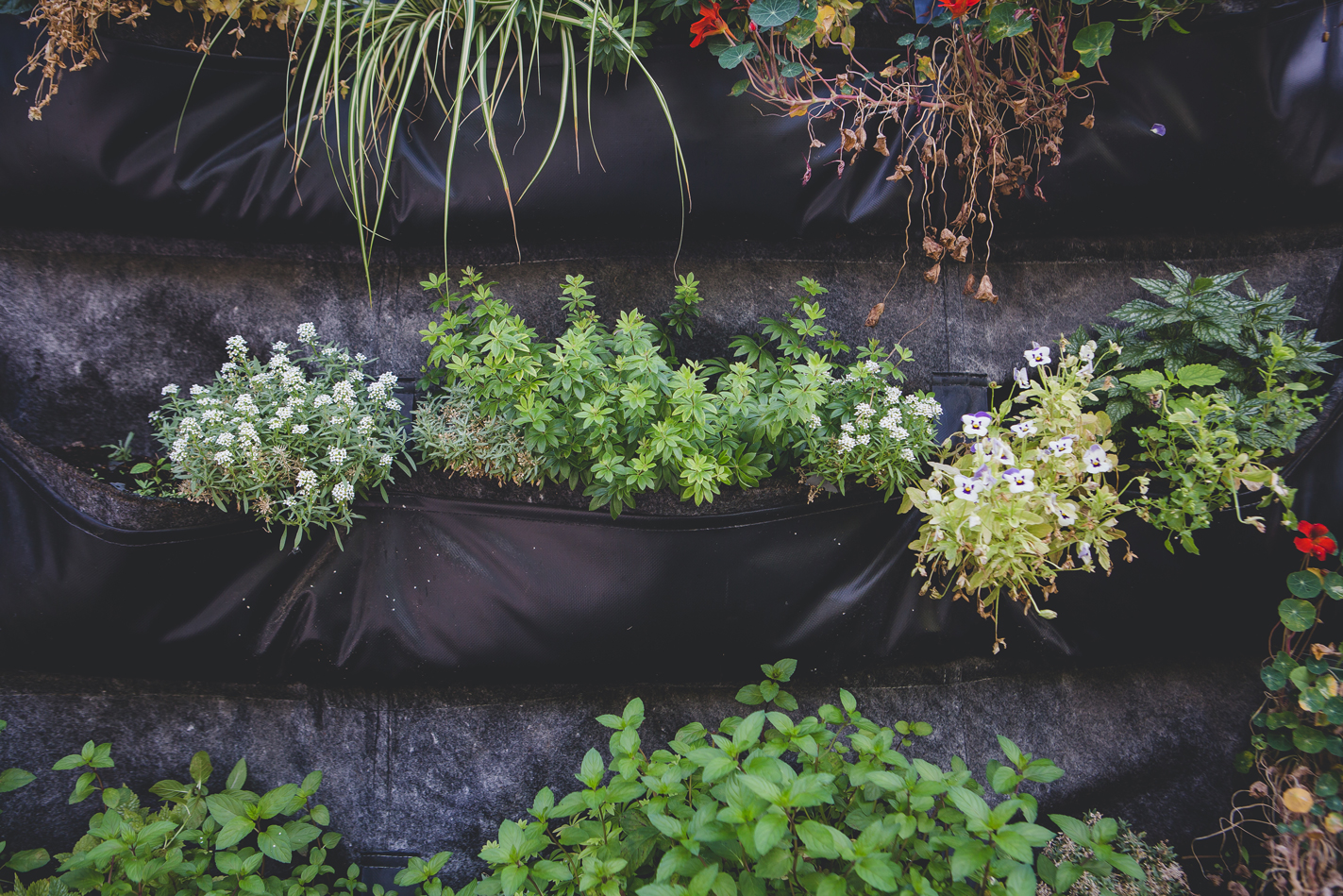Garden Design Made Of Recycled Materials