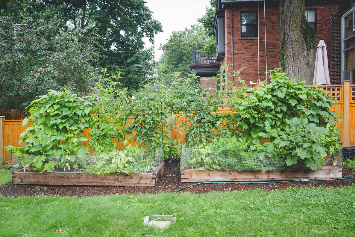 Custom Landscaping Vegetable Garden